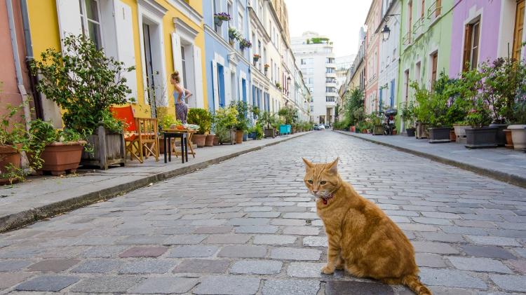Por dentro da Cidade Luz: conheça as ruas mais lindas de Paris - 22/06 ...