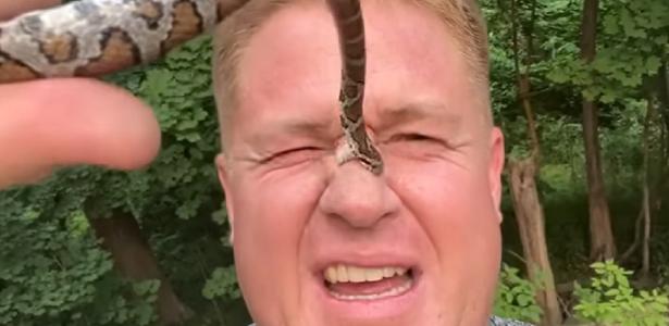 Influenciador é picado mais de 50 vezes por cobra; veja vídeo