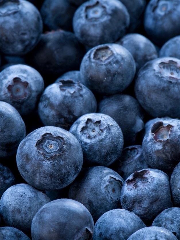 Fruta Azul De Verdade TERÇA E QUARTA VERDE 🥬💚 Frutas E Legumes