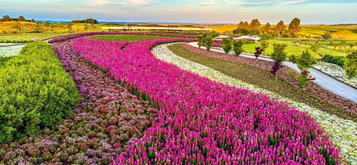 Como é o maior parque de flores das Américas, que fica na Serra Gaúcha ...