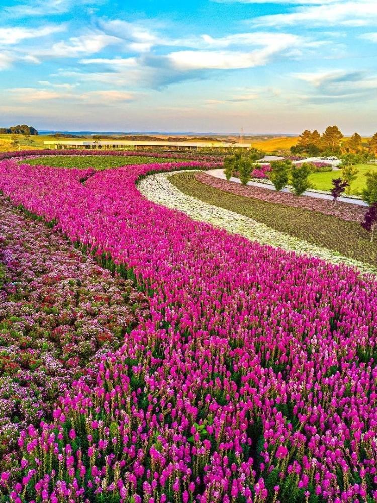 Descubra como é o maior parque de flores das Américas, na Serra Gaúcha