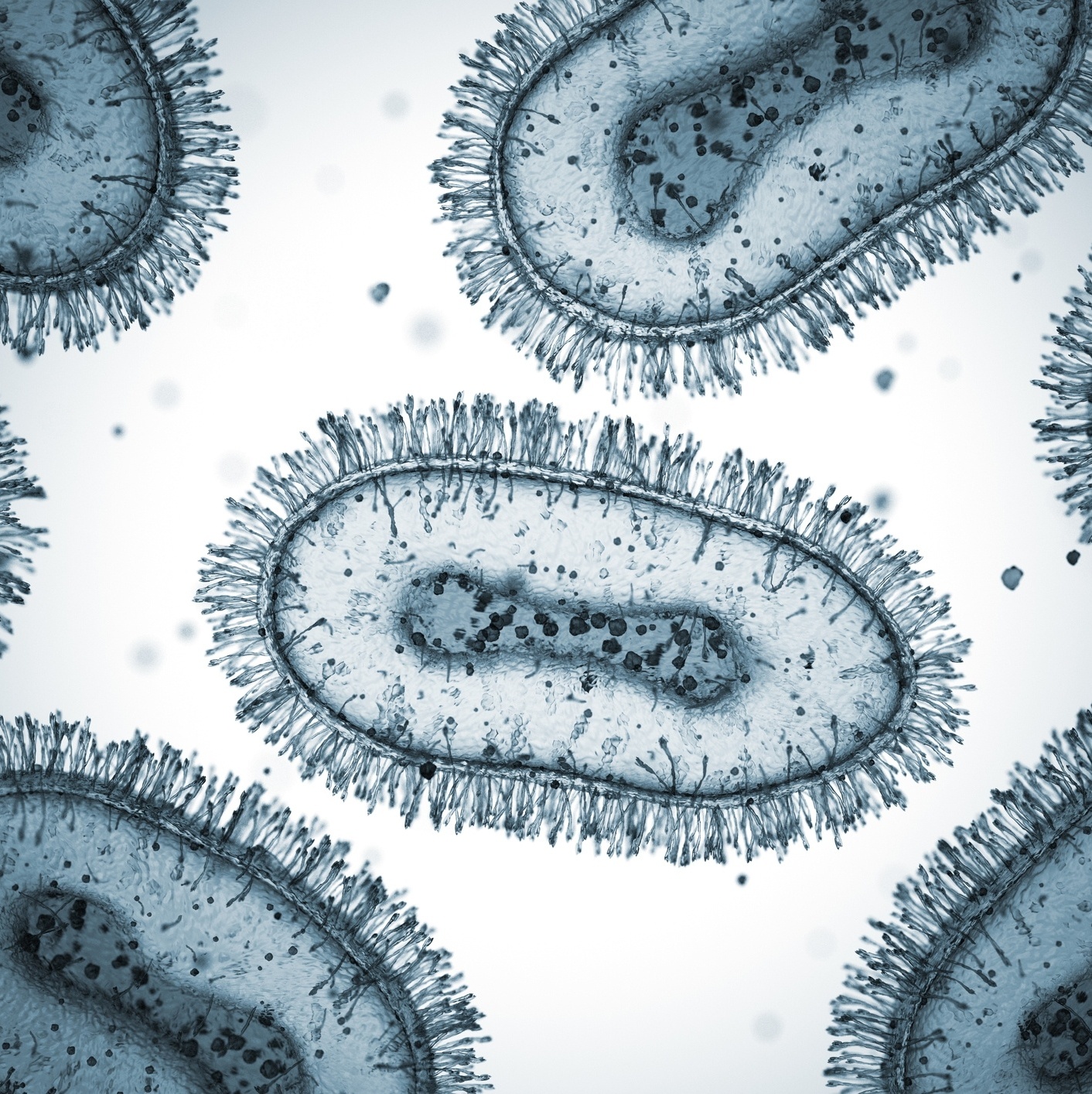 Estrutura Do Virus Da Variola Vírus: O Que São, Os Diferentes Tipos