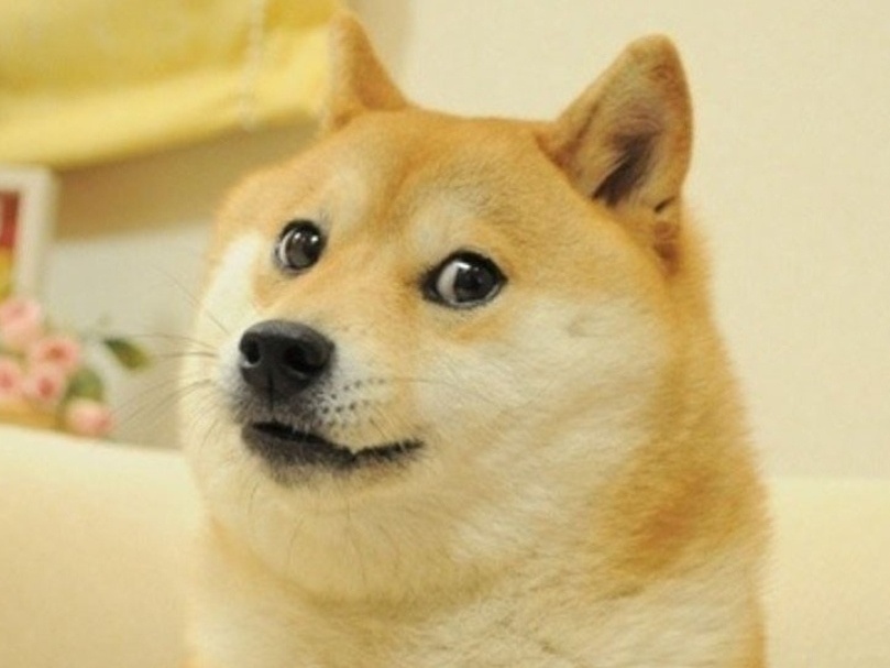 Meme Do Cachorro Doug