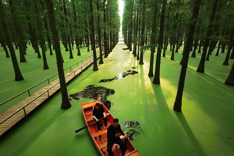 Um lago tão verde que parece de mentira: que lugar é esse?