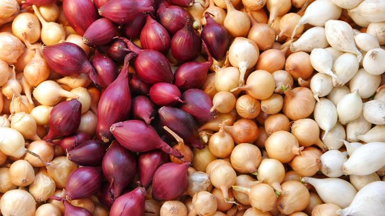 Qual cebola escolher para cada prato? Conheça as variedades e faça ...