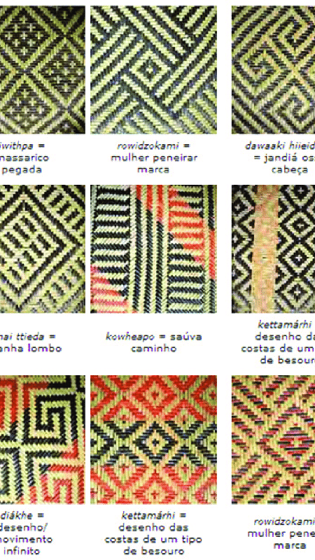 "A escrita Baniwa sempre existiu" - 12/05/2021 - UOL ECOA