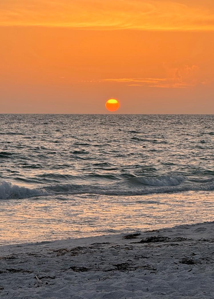 Anna Maria Island: o paraíso escondido na costa da Flórida