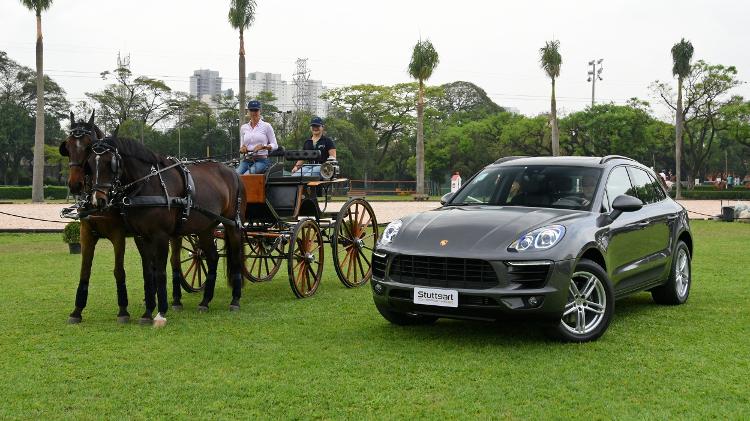 Diversão sem motor: conduzir carruagem é mais fácil do que dirigir carro