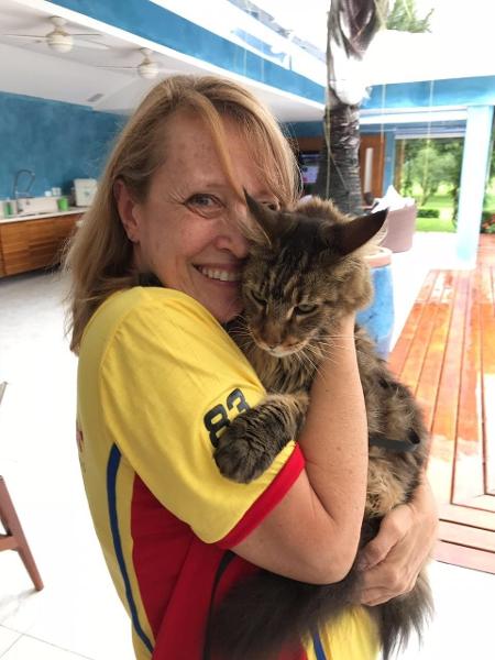 Ração promete diminuir alergia de humanos a gatos. Será que funciona ...