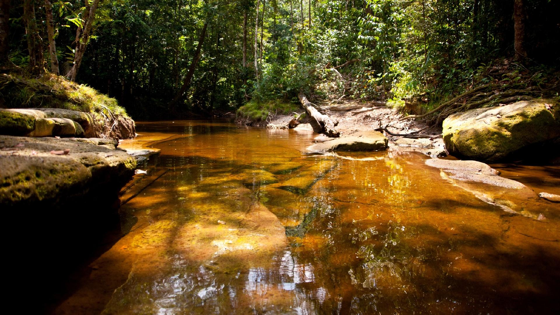 Rios amazônicos influenciam no agro e em reservatórios do Sudeste