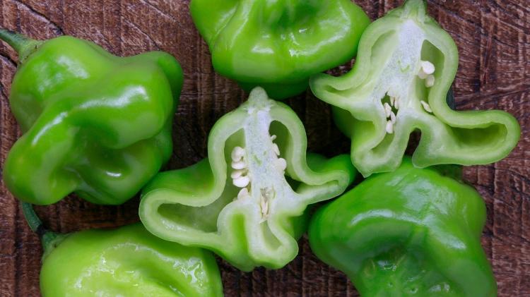 Pimenta para todos os gostos: veja as mais comuns e em quais pratos usá ...