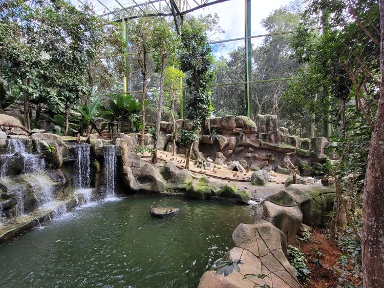 Animália: novo parque temático abre em São Paulo; veja quanto custa