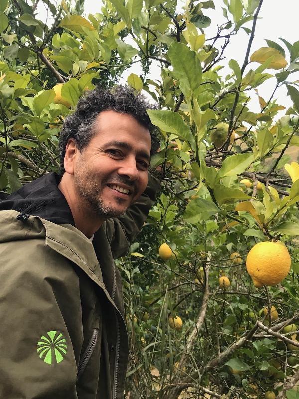 Ator e fazendeiro, marcos palmeira fala sobre sua plantação de ... Ator e fazendeiro, marcos palmeira fala sobre sua plantação de ...