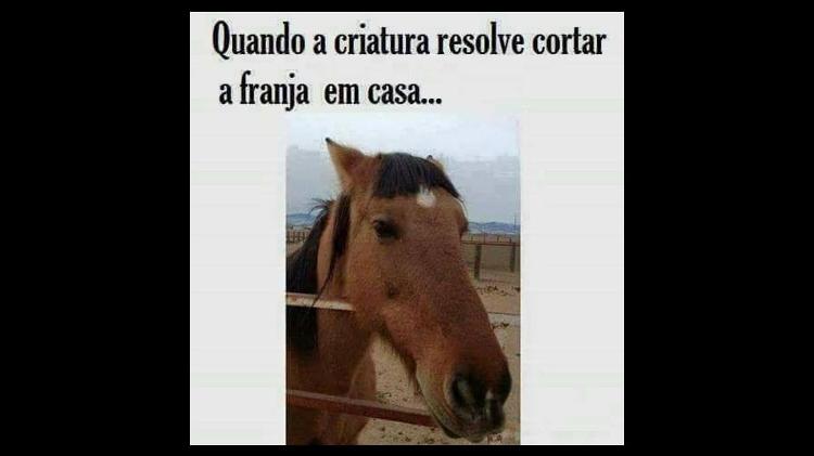 É hora de curtir os memes - BOL Memes