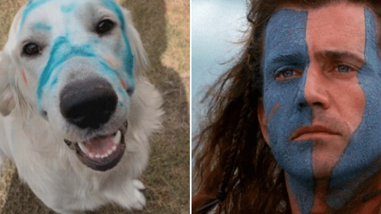 Cachorro 'rouba' giz de cera e aparece com pelos pintados nos EUA