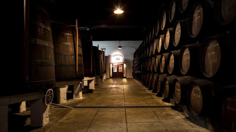 Vale do Douro: conheça a região mais encantada de Portugal em cruzeiro ...