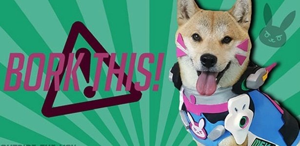 Cachorro faz cosplay de "Overwatch" e conquista a internet; veja fotos ...