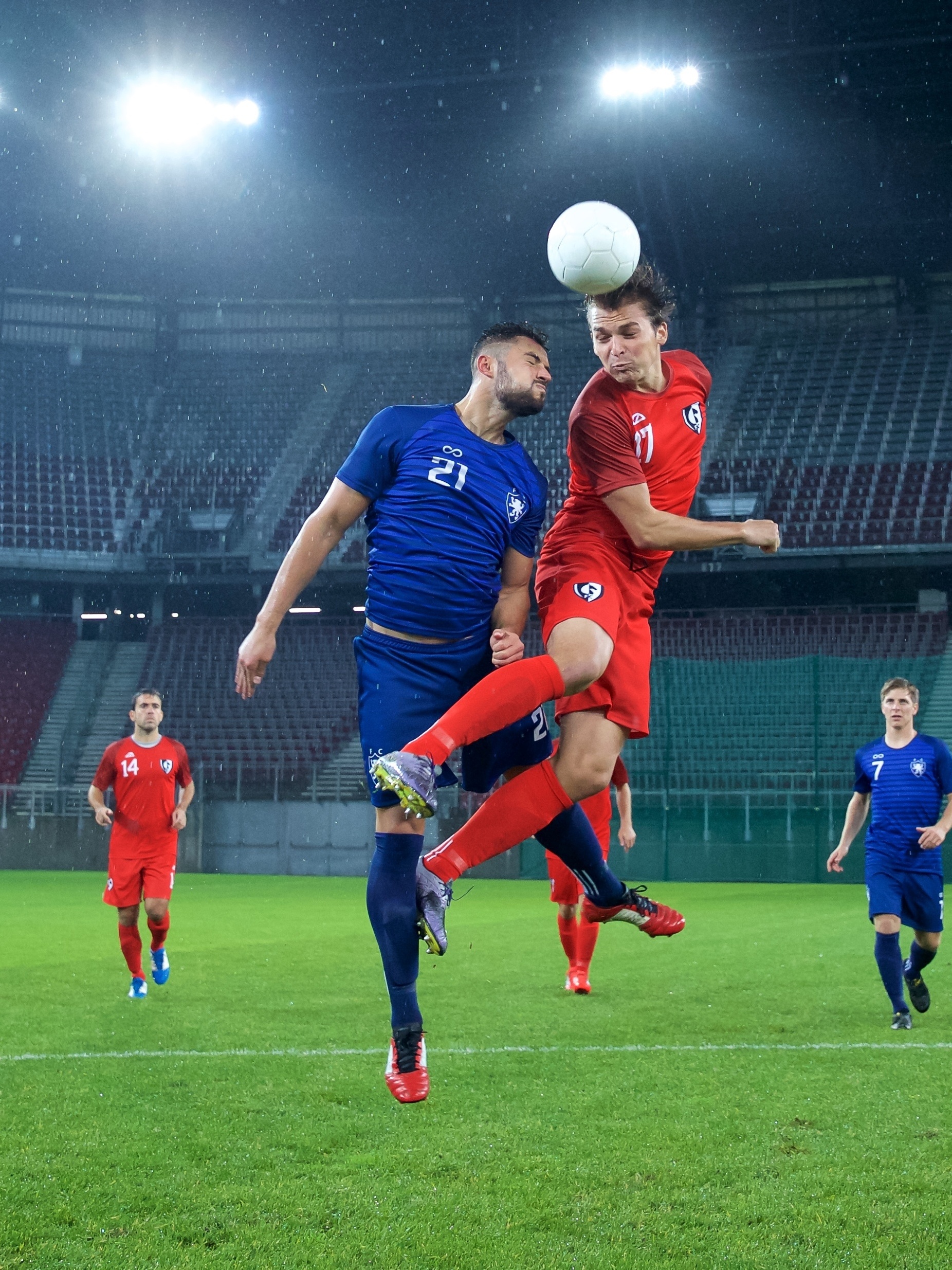 fortune cookie drawing - skgroup.vn