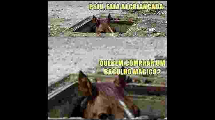 É hora de curtir os memes - BOL Memes