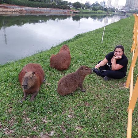Capivaras enroscadas em lixo de rio são salvas por projeto de SP
