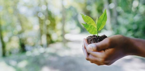 Visão 2030 Natura aborda desafios e oportunidades para um mundo sustentável
