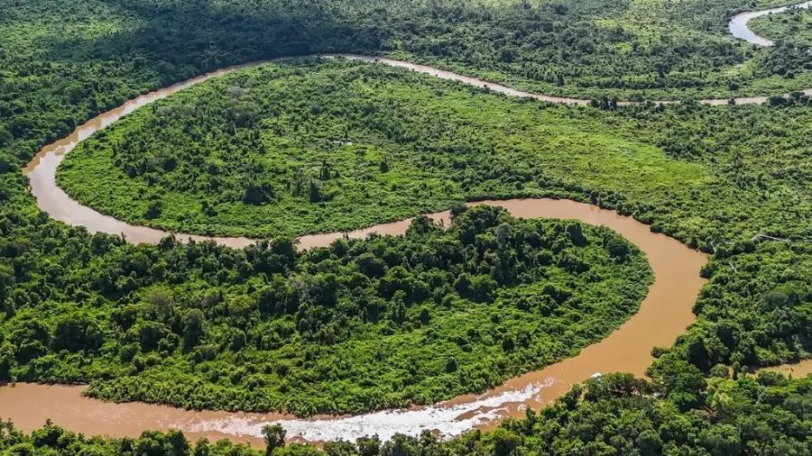 Brasil ignora riqueza natural, e biodiversidade perde para a soja