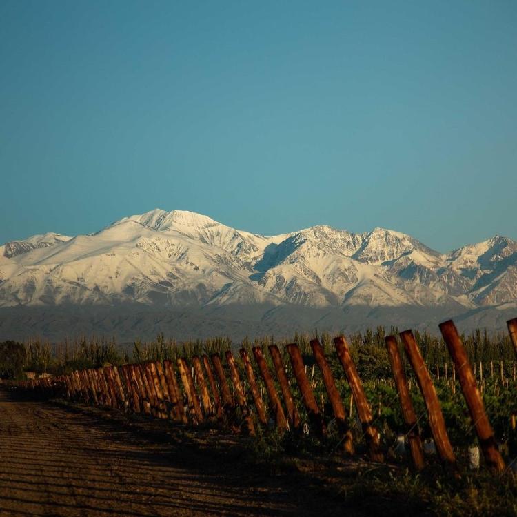 O que faz da Catena Zapata a melhor vinícola do mundo para se visitar ...