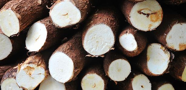 Mandioca: conheça 9 benefícios desse alimento e veja como consumi-lo ...