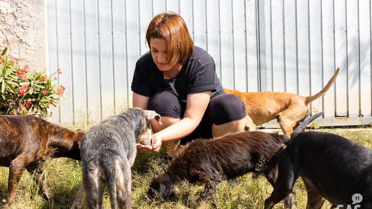 Projeto leva alimentação para 16 mil animais de rua em São Paulo - 17 ...