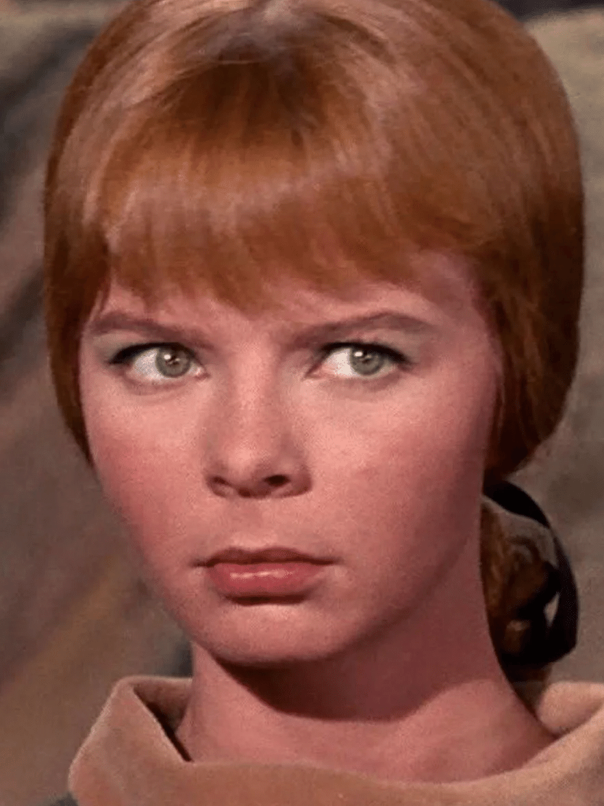 Yeoman Jm Colt Discount | emergencydentistry.com