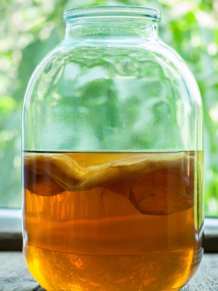 Kombucha: bebida saudável que vai te fazer largar o refrigerante