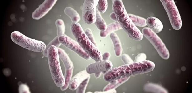 Bactérias resistentes a antibióticos podem matar 39 milhões até 2050