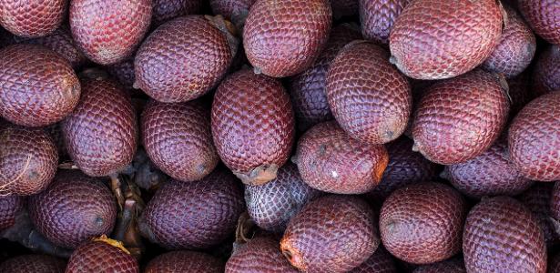 Benefícios do Buriti à Saúde: Conheça Propriedades da Fruta