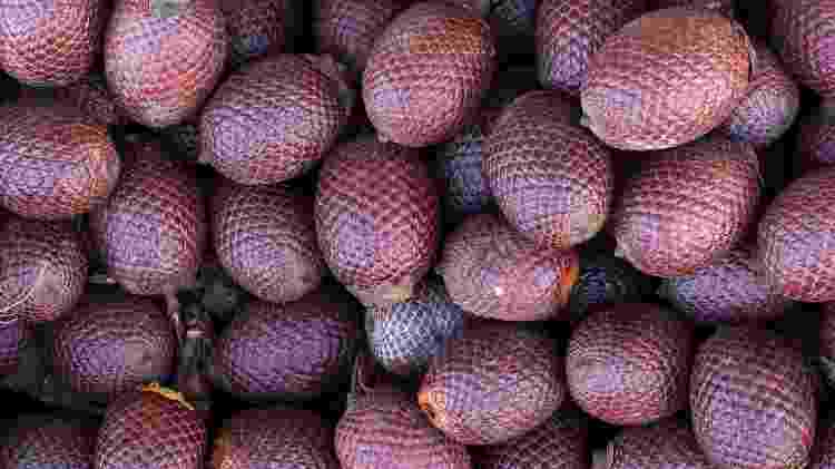 Veja os nutrientes de 12 frutas exóticas e se vale a pena experimentar ...