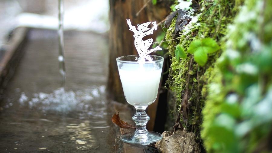 Já viu a fada verde? Floresta mágica oferece absinto aos visitantes