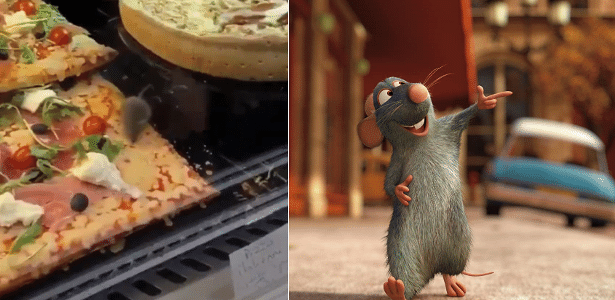 Ratatouille em live-action? Web ri com vídeo "fofo" de ratinhos ...