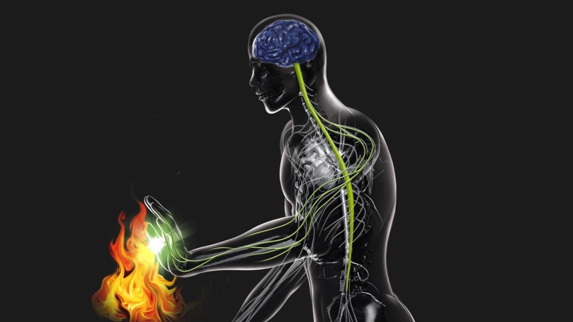 Por que sentimos dor? Como aliviar o incômodo de maneira natural?