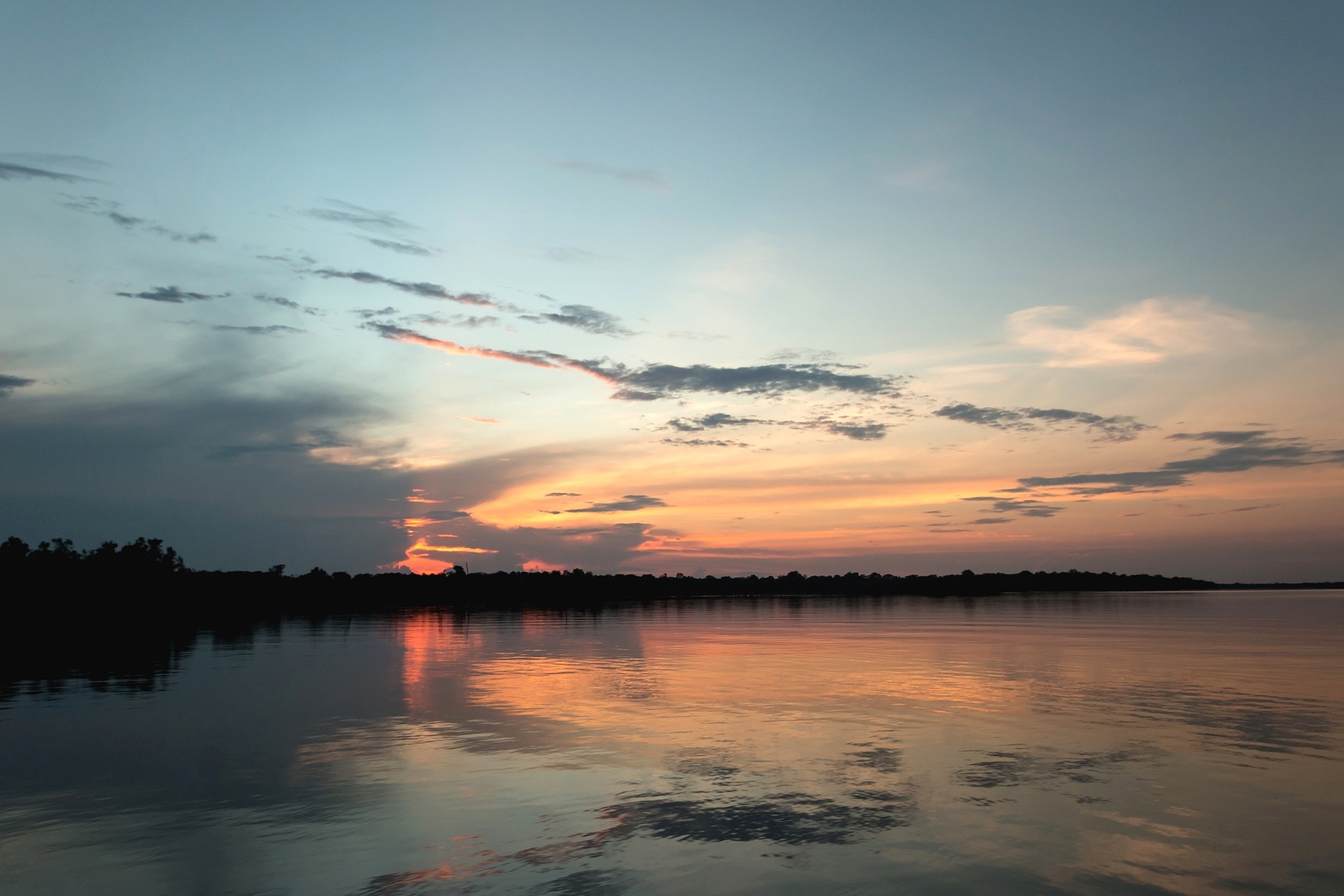 Fotos: Tour pela Amazônia tem encontro de rios, com jacarés e ...