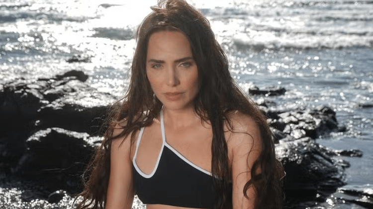 Briga entre Antonio Fagundes e Tony Ramos vai movimentar nova novela