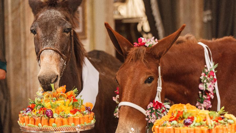 Êta Mundo Melhor! hoje (21): veja resumo do capítulo desta terça-feira