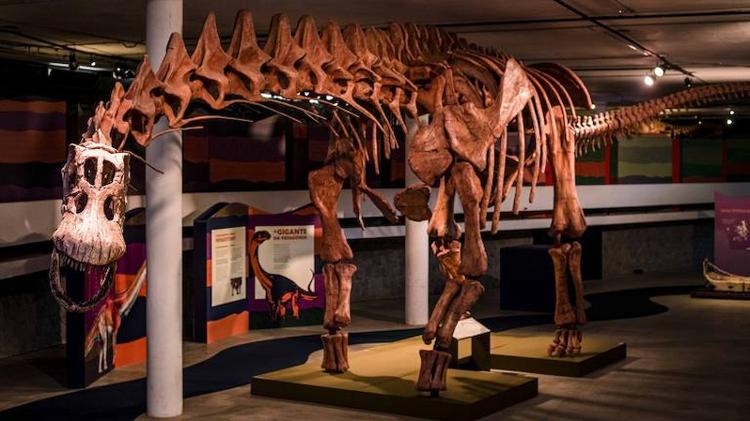 Patagotitan: maior dinossauro do mundo ganha exposição em São Paulo ...