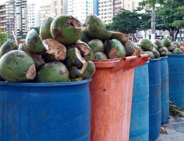 Cientistas estão usando cascas de coco verde para descontaminar águas no RJ