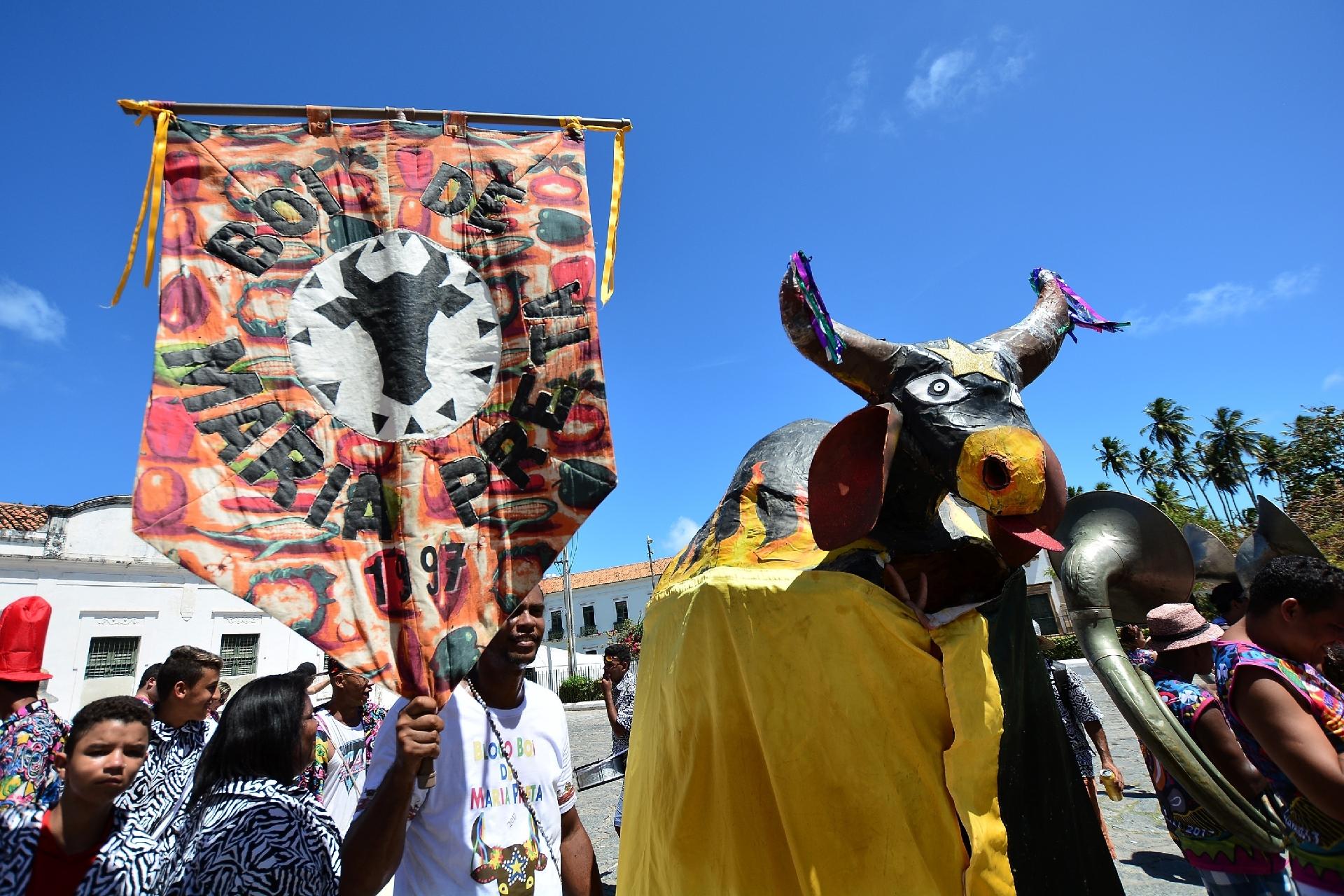 Carnaval 2019: Entre Parintins e SP: Metade da mão de obra das escolas ...