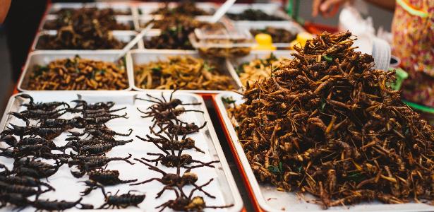 Insetos comestíveis no Japão fazem sucesso; você deveria provar
