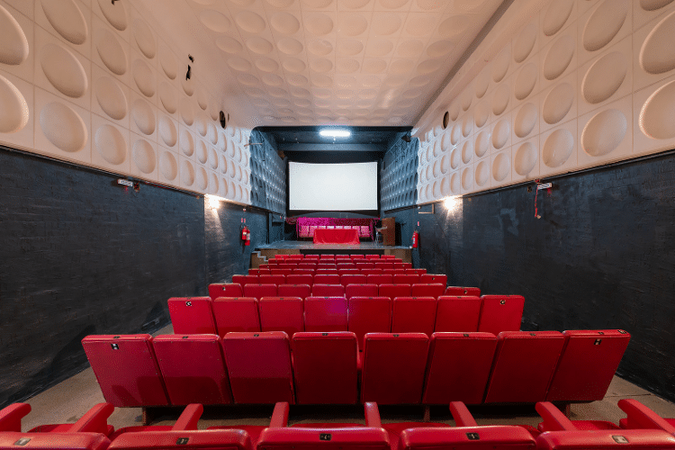 Cinemas de rua driblam a 'morte' e vivem nova onda em São Paulo ...