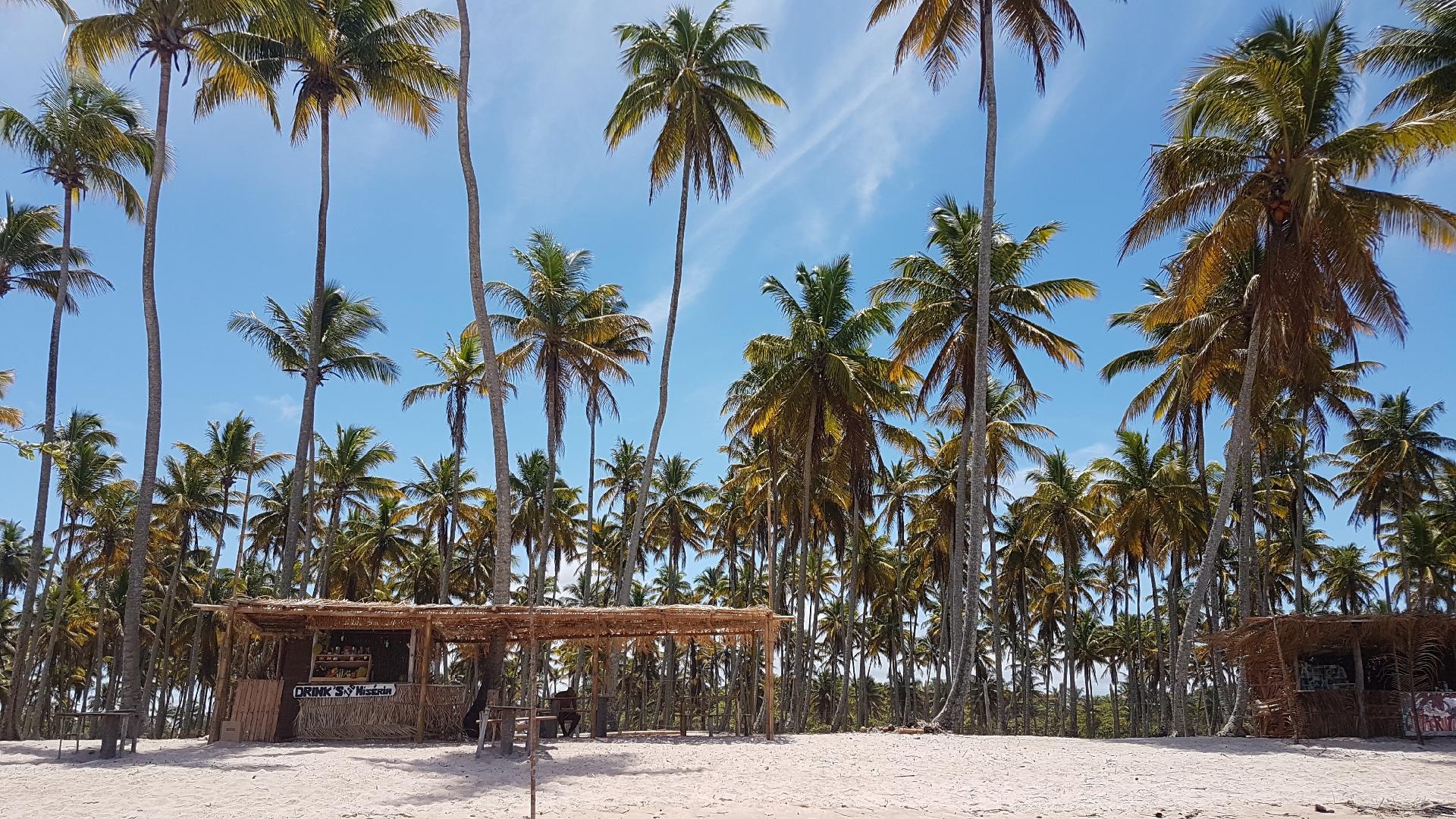 Fotos: Conheça a linda ilha de Boipeba, na Bahia - 23/01/2019 - UOL Nossa