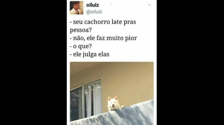 É hora de rir com os memes do dia - BOL Memes