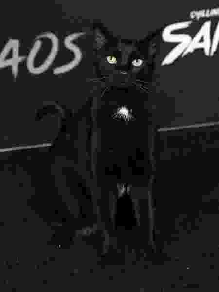 Por que o gato Salem não fala em "O Mundo Sombrio de Sabrina"?