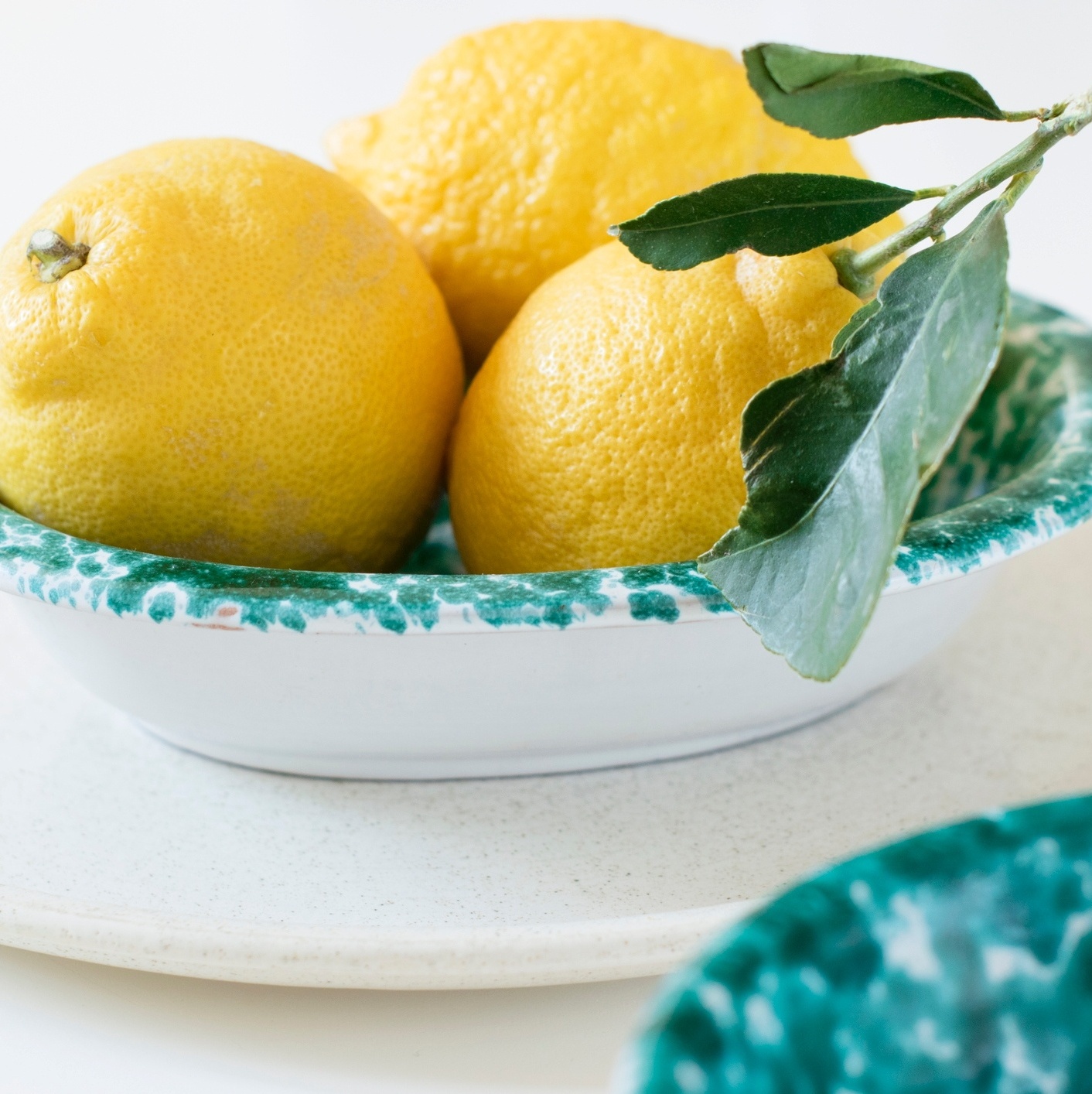 Diferenca Entre Lima E Limao TIRE SUA DÚVIDA! Lima De Bico E Lima Da