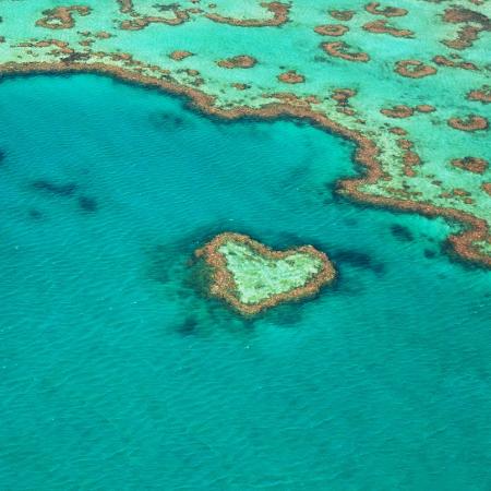 Ataque de tubarão na Austrália mata homem de 39 anos